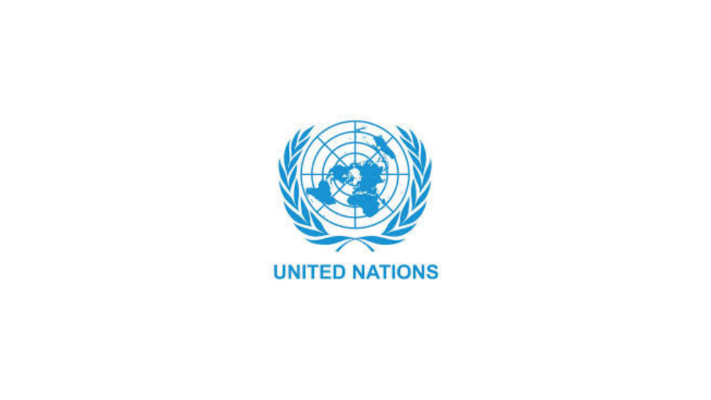 United Nations Internship Program 2021
