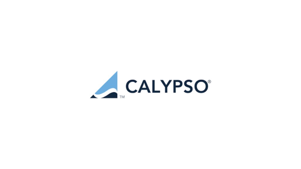 Calypso Internship Program 2021